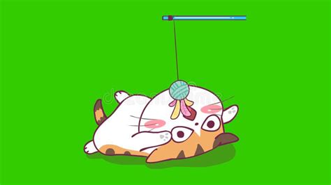 Playful Kitten Animation With Cat Teaser Green Screen Stock Video