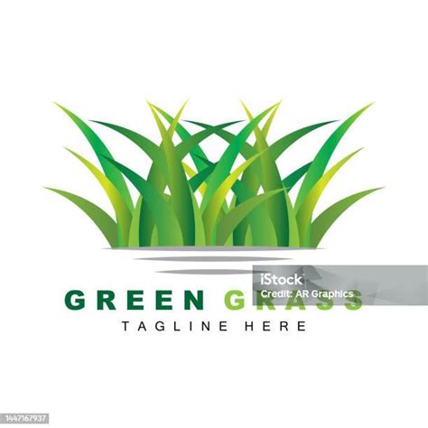 녹색 잔디 로고 디자인 농장 풍경 일러스트 레이 션 자연 경관 벡터 개념에 대한 스톡 벡터 아트 및 기타 이미지 개념 깨끗한 나무 Istock