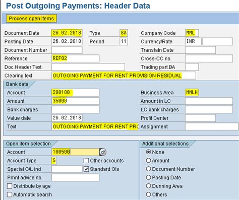 Sap Fico Module Learning Month End Provision Open Item Management