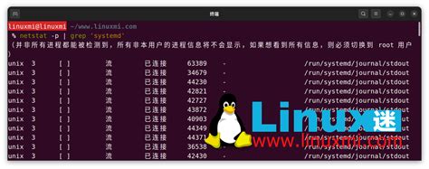 如何监控 linux 上进程的网络使用情况 linux迷