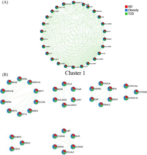 A Construction Protein Protein Interaction Ppi Network Of The