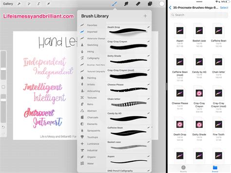 How To Import Pictures And Brushes Into The Procreate Ipad App