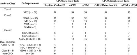 Performance Of Other Carbapenemase Detection And Classification Download Scientific Diagram