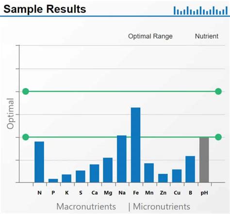 How To Do A Soil Test To Your Lawn And Read It Plant For Success