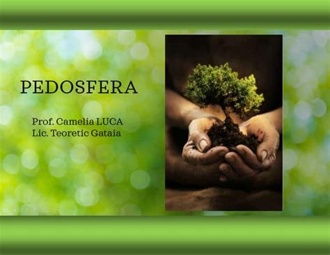 Pedosfera Pdf