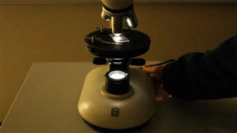 Illuminator On Microscope At Keira Jeanneret Blog