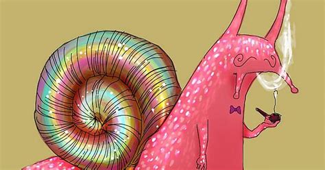 Snail Album On Imgur