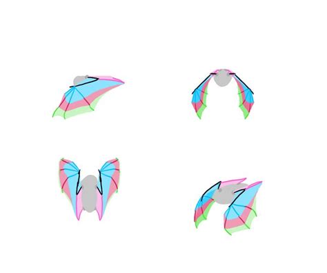 How To Draw And Animate Wings Birds Bats And More Wings Drawing Sketch Book Wings