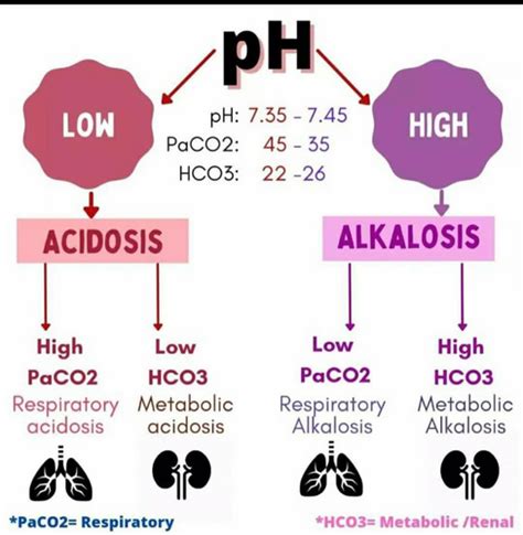 Metabolic Respiratory Vs Alkalosis Acidosis Flashcards Quizlet