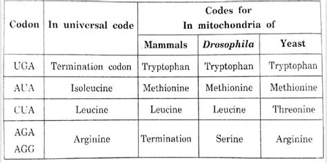 Nature Of Genetic Codes ~ Biotechfront