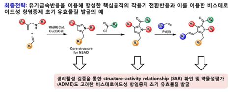 보고서 유기금속 방법론을 적용하여 경제적이고 효율적인 비스테로이드성 항염증제 초기 유효물질 도출 연구