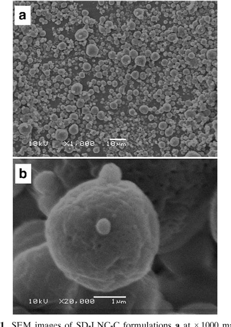 Figure 1 From Redispersible Spray Dried Powder Containing