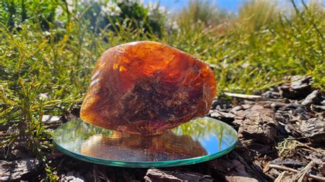 Kauri Gum The Kauri Museum