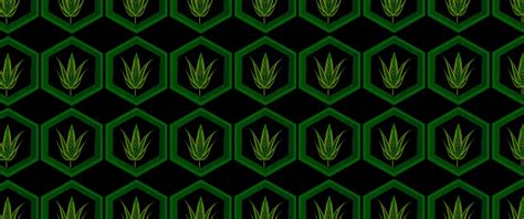 Cambodian Laos Thai Vietnam Burma And Se Asians Page 3