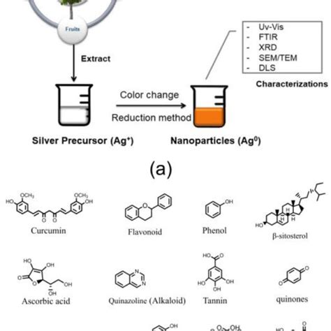 A Schematic Of The Synthesis Of Agnps Using Plant Extracts B Download Scientific Diagram