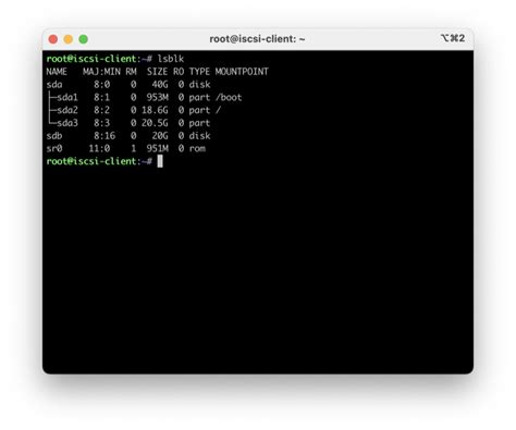 Iscsi Client And Connecting To A Target On Debian Or Ubuntu Clouvider
