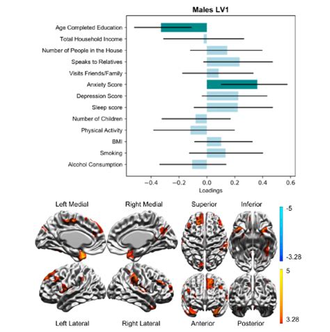LV1 Of The PLS Correlation Performed On Females Explained 48 9 Of The Download Scientific
