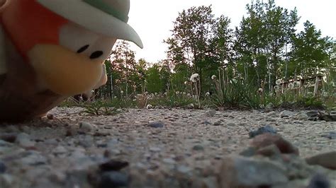 Pppppppppppppppppppppppppppppppppppppppppppp