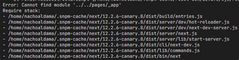 error with compiled modules using symlinks · issue 40206 · vercel next