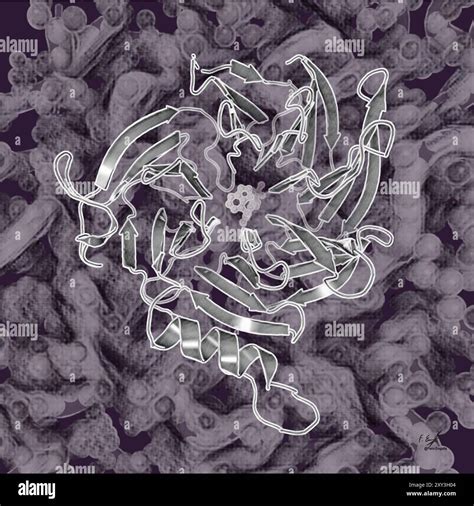 Illustration Of A Small Molecule Inhibitor Bound To The Embryonic Ectoderm Development Eed
