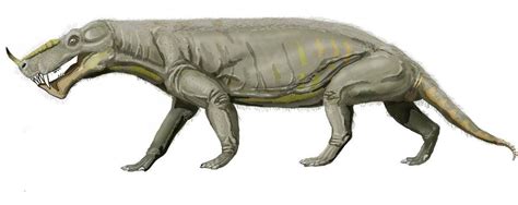 Spike Tail Synapsid Speculative Evolution Wiki Fandom
