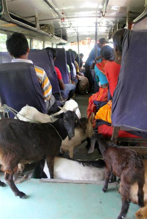 Woman Strips Naked On Southwest Flight Page Pelican Parts Forums