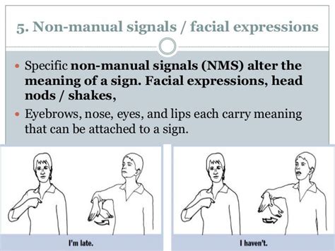 Asl Basics