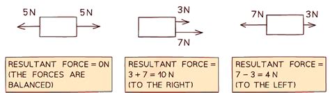 Resultant Forces And Free Body Diagrams Notes Study Physics For Grade