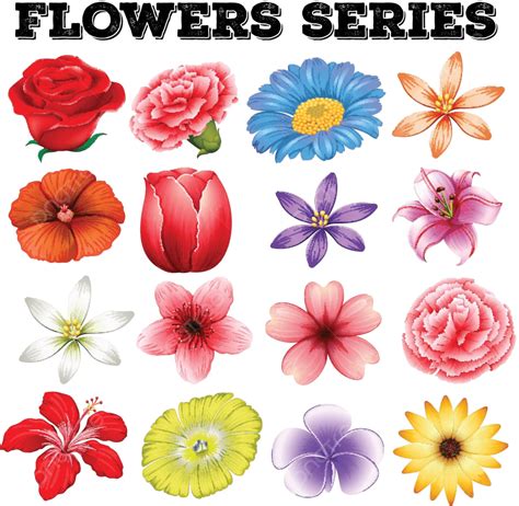 Diferentes Tipos De Flores Para Dibujar