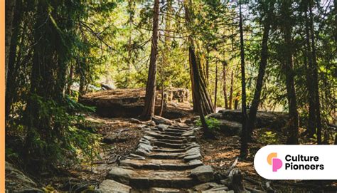 What Is Resource Dependence Theory Rdt Hrzone