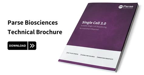 download parse biosciences technical brochure single cell 3 0