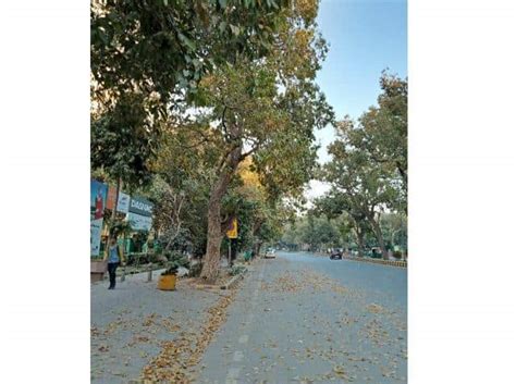 Oppo A Review A Budget Smartphone Aimed At Selfie Enthusiasts HT Tech