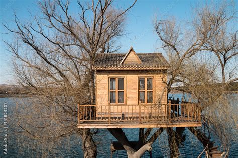 Treehouse On The Lake Stock Photo Adobe Stock