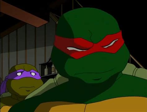 Tmnt 2003 Raph And Donnie 2 By Hedwieapotter On Deviantart