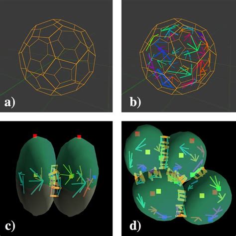 A Based On The Tessellation Of The Surface Of A Spherical Cell