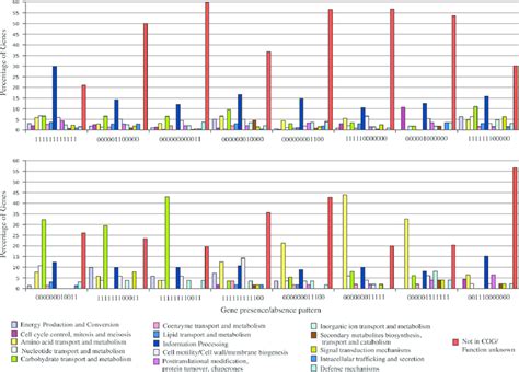 —functional Classification Of Various Categories Of Streptococcus Download Scientific Diagram