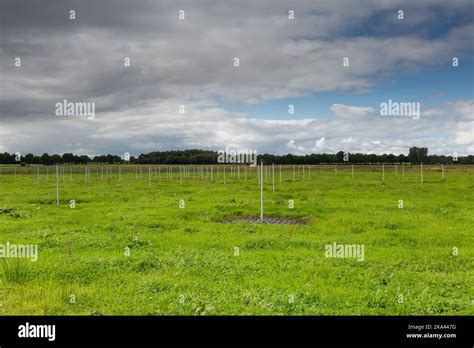 Landscape With Close Up Of Part Of The Largest Low Frequency Array