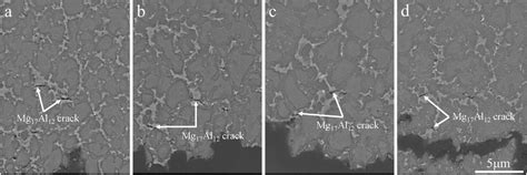E The Microstructure Near Fracture Of Az91 Alloys At Different Cooling Download Scientific