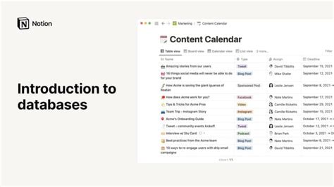 Notion Academy — Organize Information With Databases
