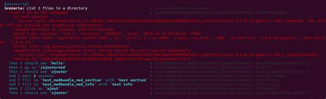 Behat Chromedriver In Ubuntu 1604 Stack Overflow