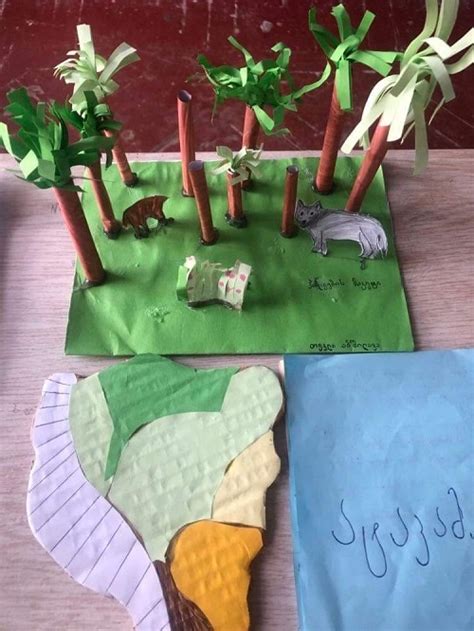 „სამხრეთ ამერიკა“ სამტრედიის N4 საჯარო სკოლის მე 8 კლასის მოსწავლეებმა საინტერესო კომპლექსურ