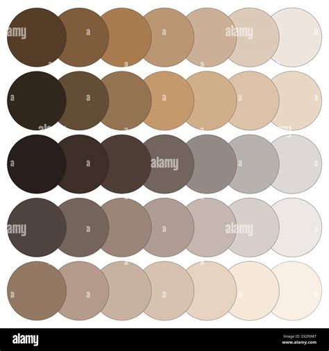 Neutral Color Palette Guide Earth Tone Selection Grayscale Variation Vector Illustration Eps