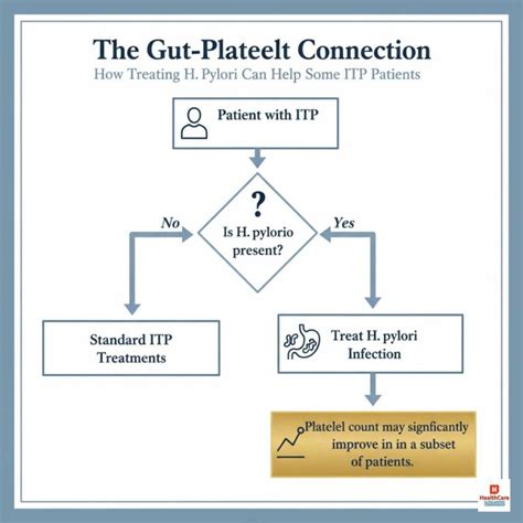 How To Increase Platelet Count And What Foods To Avoid When Platelets