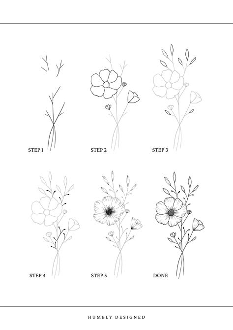 Step By Step Drawings For Beginners Of Flowers How To Draw Flowers
