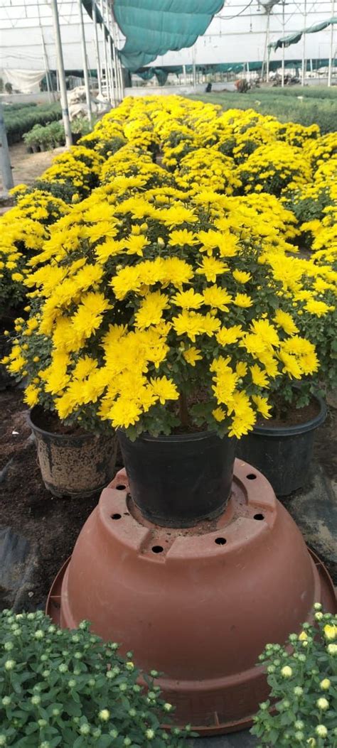 Anil Deshwal Posted On Linkedin