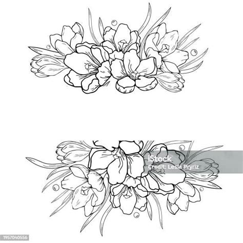크로커스 꽃 꽃꽂이 액자 손 그림 개략 그림 조각 배경 초대장 카드 인쇄물 등 0명에 대한 스톡 벡터 아트 및 기타 이미지 Istock