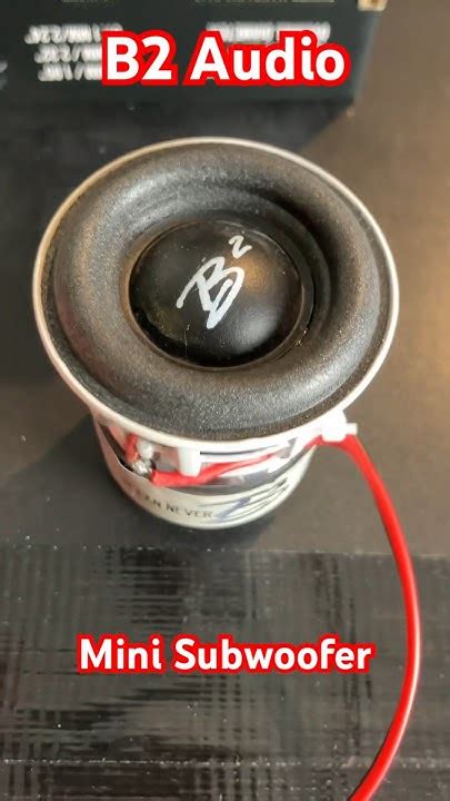B2 Audio 2“ Mini Rc Car Subwoofer B2audio Bass Subwoofer Youtube