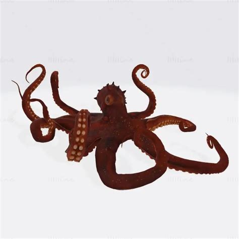 Octopus 3d Print Model