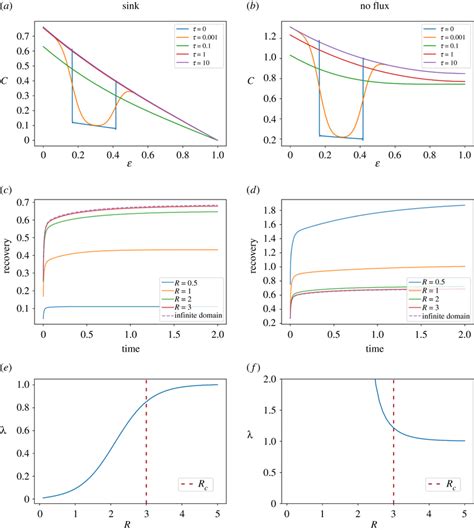 The Reactiondiffusion Model Assuming An Infinite Domain Does Not Download Scientific Diagram