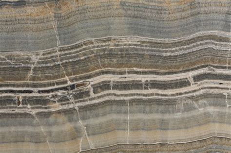 Premium Photo Stylish Background In Light Grey Tone For Your Design